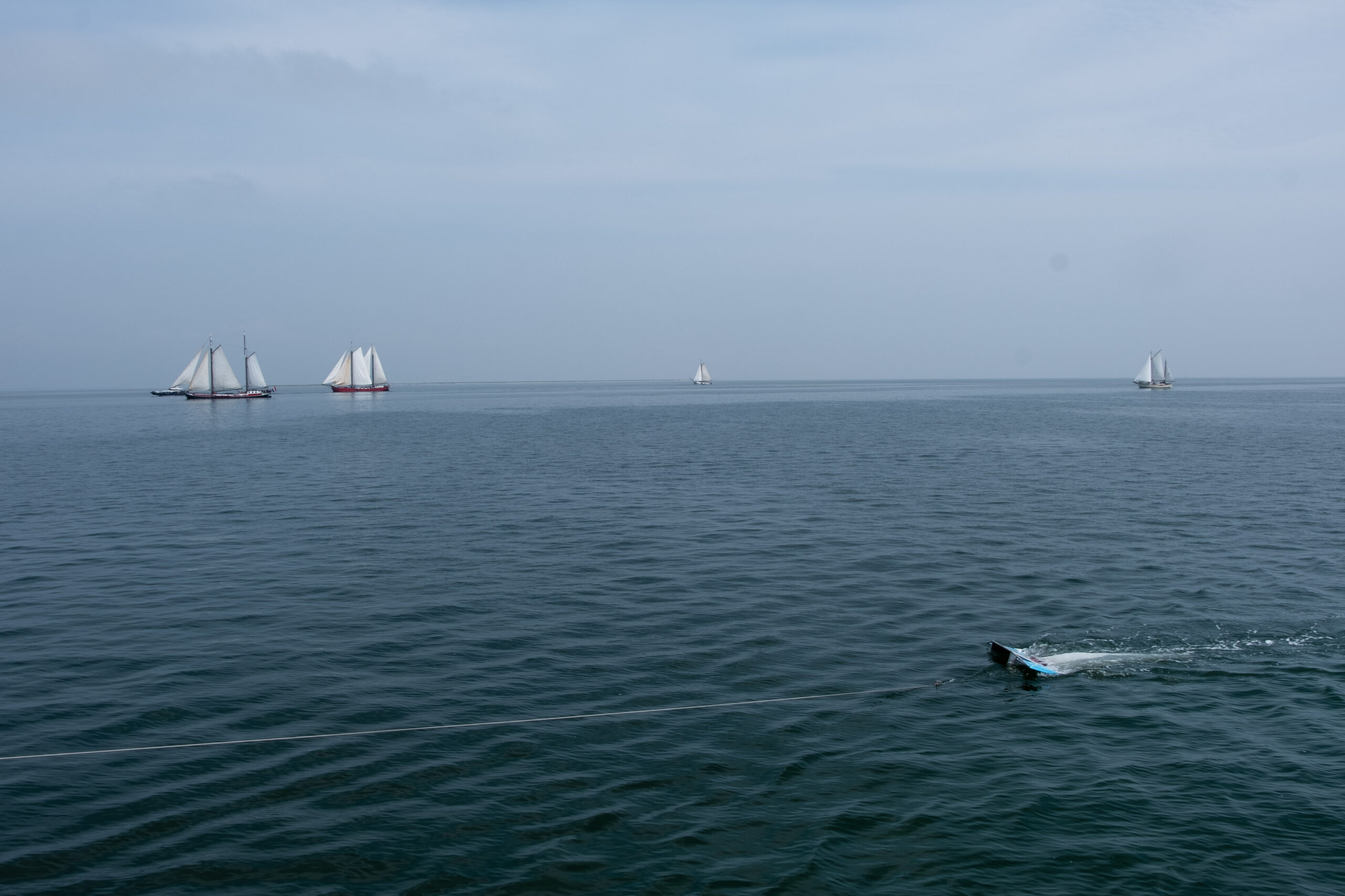 News and facts – The Ocean Movement